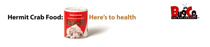 The Bug Company | Hermit Crab Food